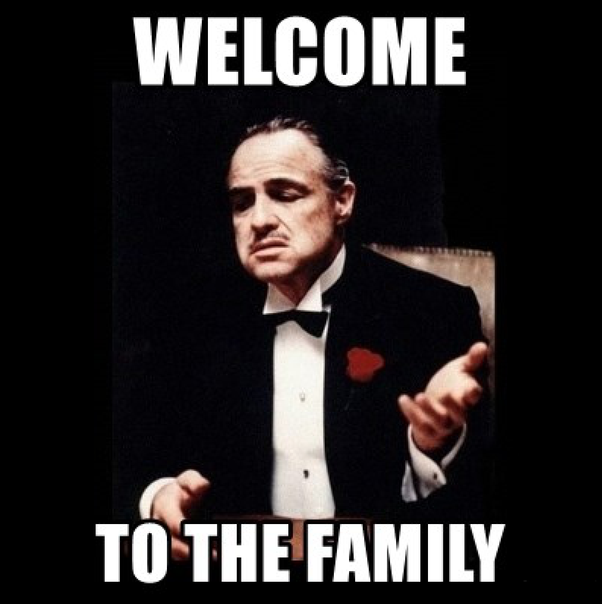 WELCOME TO THE FAMILY Mata Leao Combat Sports welcome-to-the-family-mata-leao-combat-sports