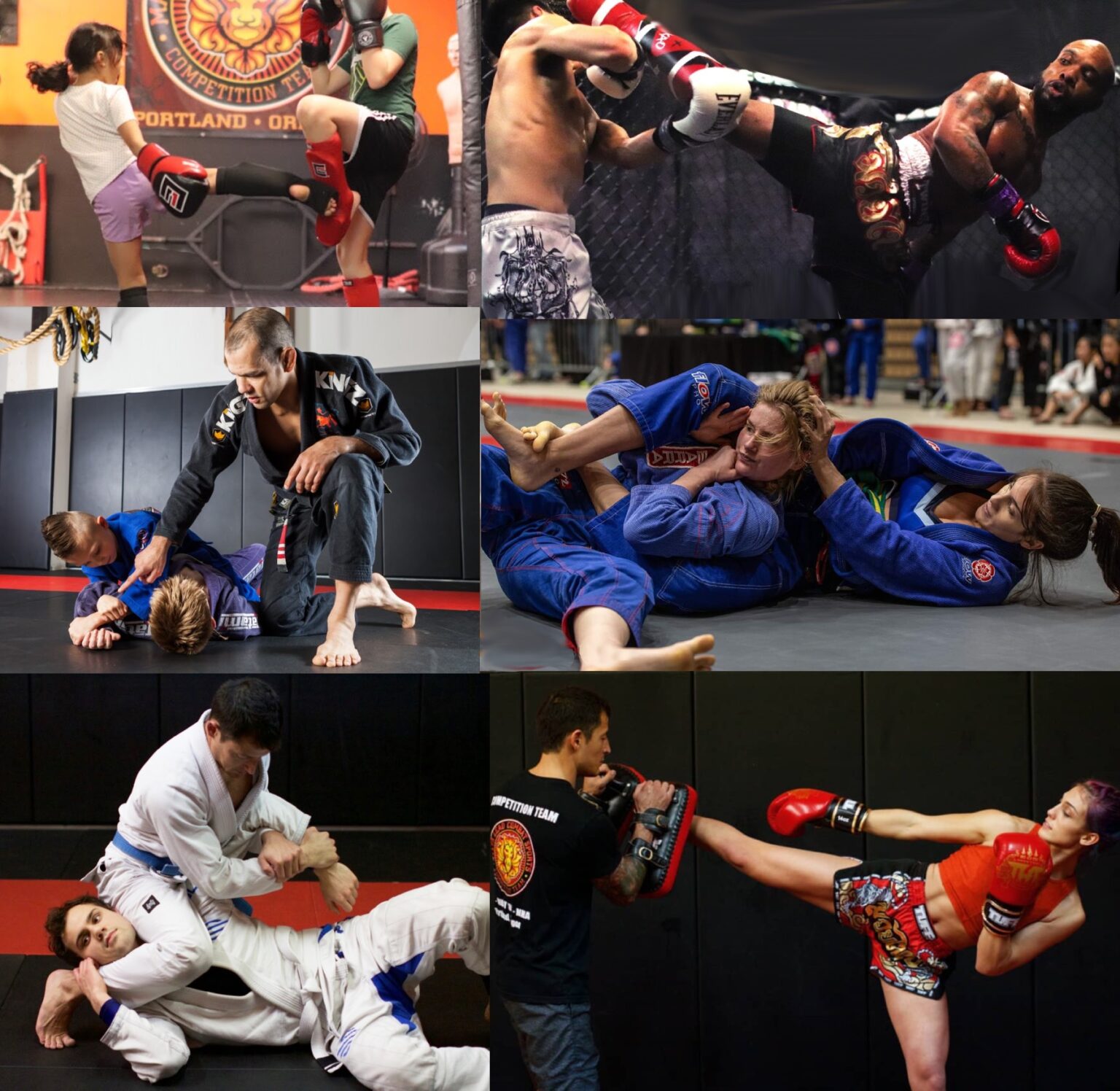 Unlock Your Full Potential Through Martial Arts - Mata-Leao Combat Sports